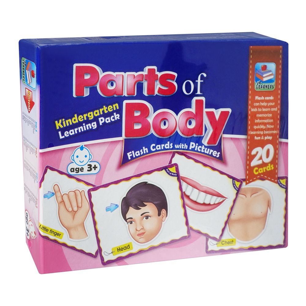Flash Cards With Pictures Parts Of Body, Large 7 X 9.5 Inches, For 3 ...